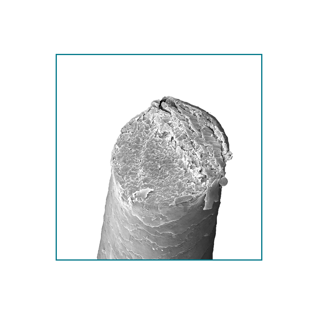 Cut – ILL-Style